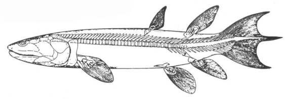Evolution and design (2)